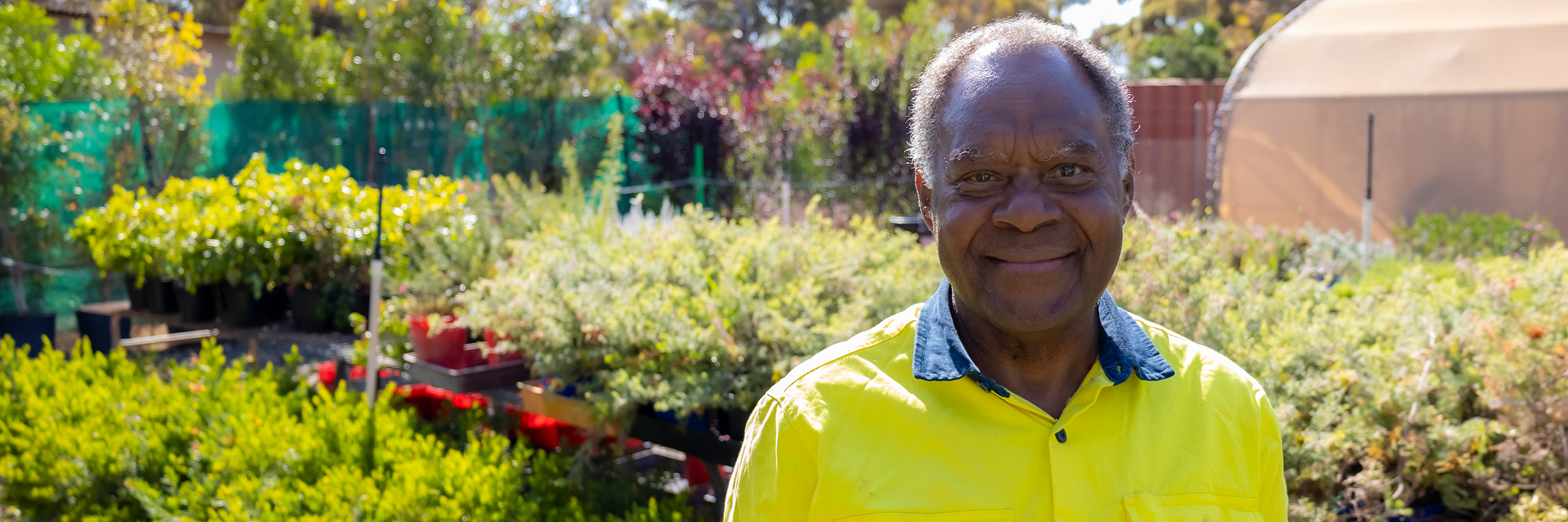 Designated Area Migration Agreement (DAMA) Consultation | Your Say